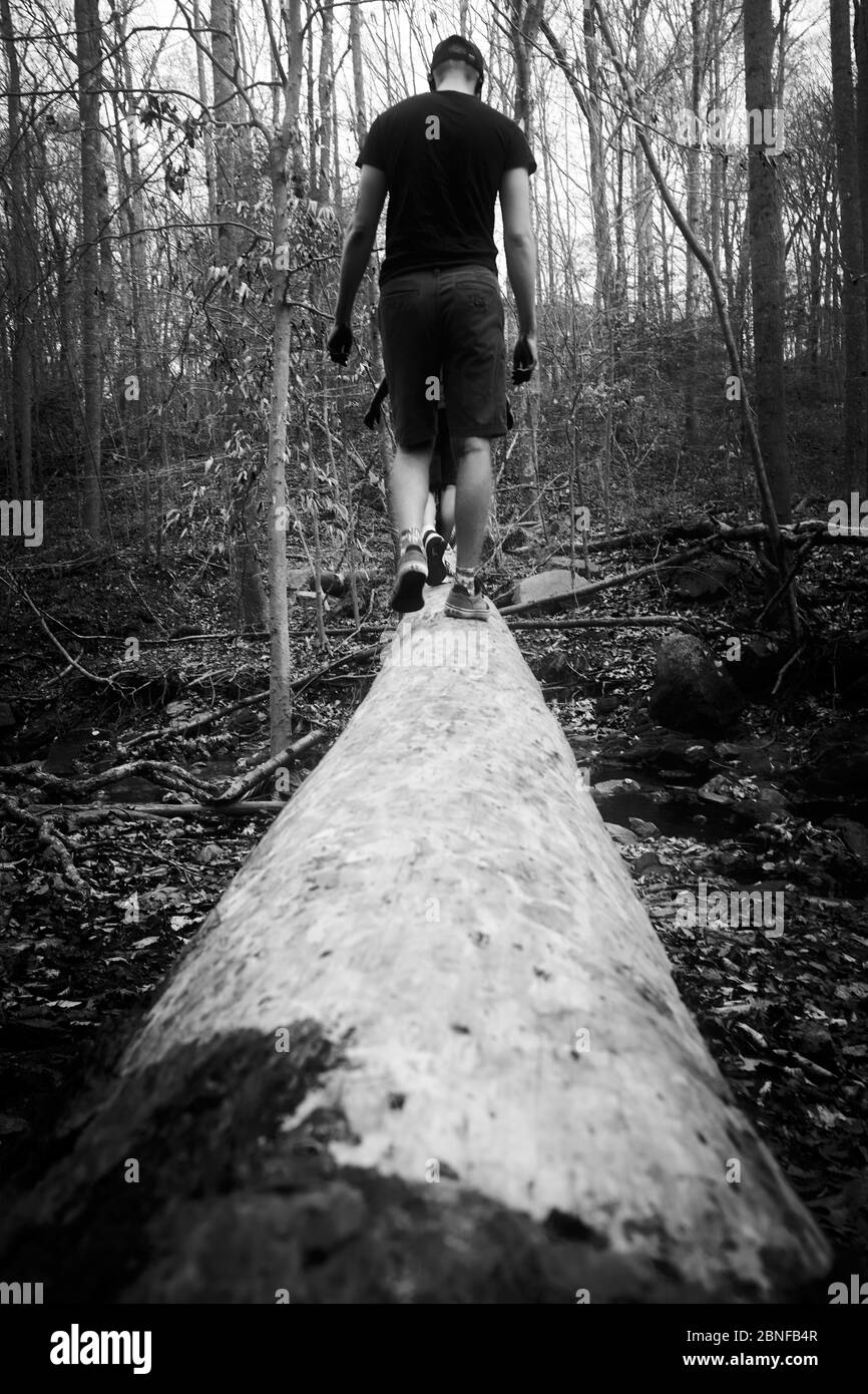 Vertical greyscale shot of a male walking on a trunk of a tree on the ...