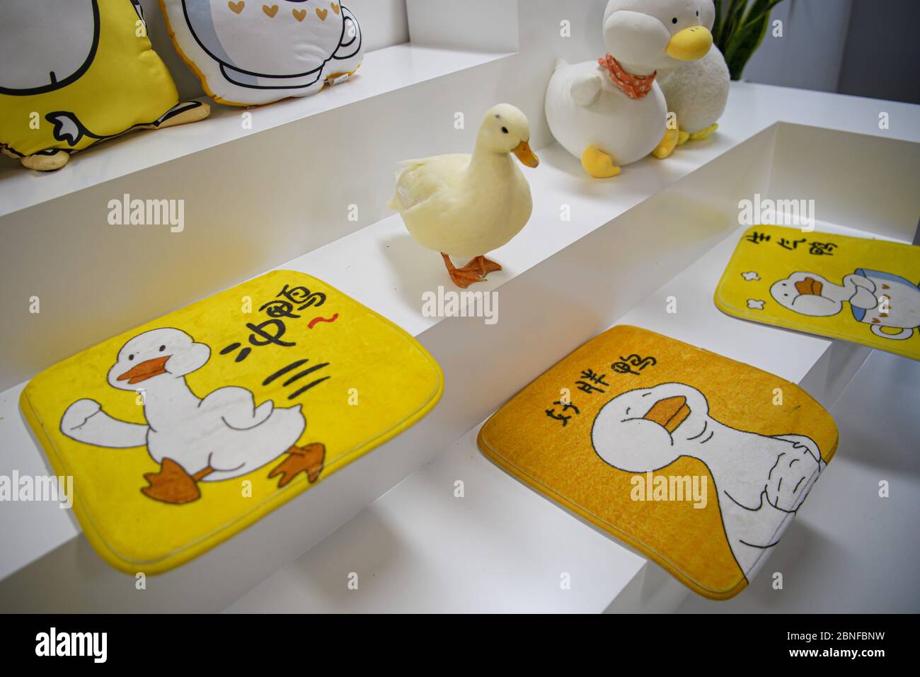 Cole ducks stand on a table in a cole duck experience store in ...