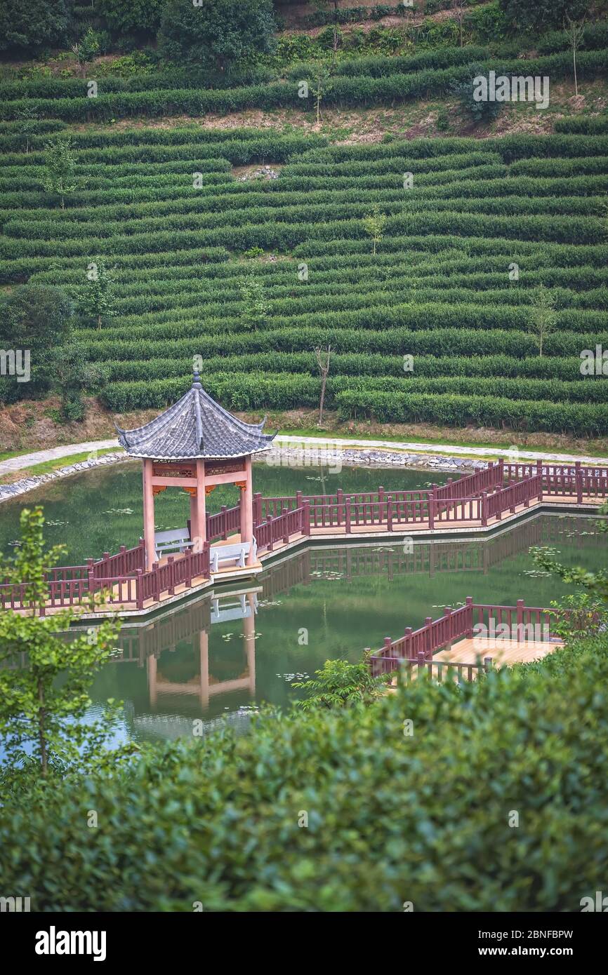 Vertical shot a beautifully engineered Asian bridge on the river in a ...