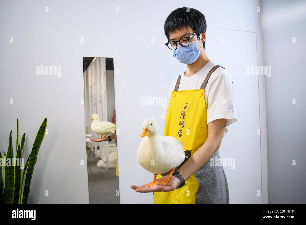 A staff holds a cole duck in a cole duck experience store in Guangzhou ...