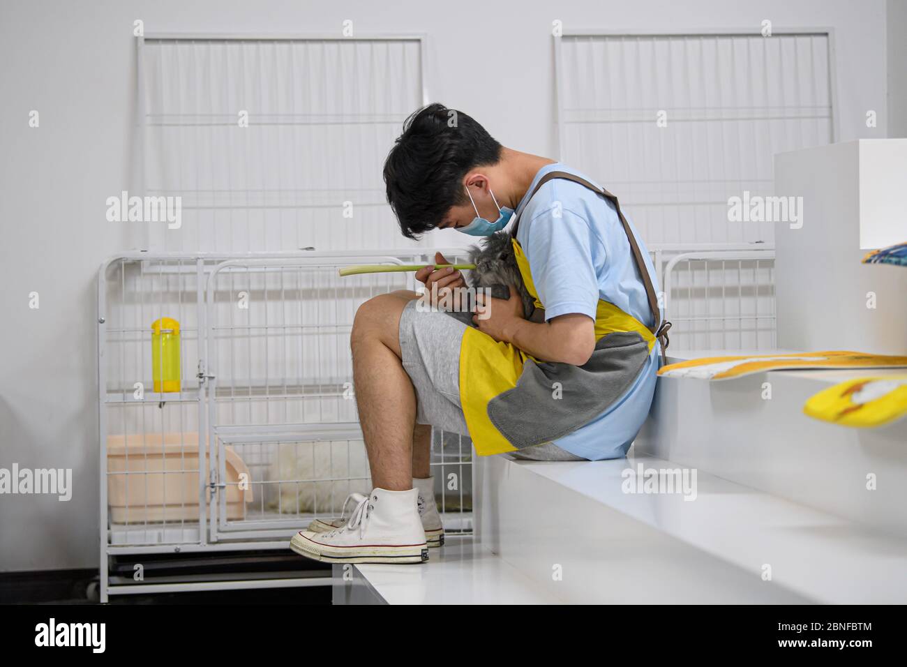 Cole duck hi-res stock photography and images - Alamy