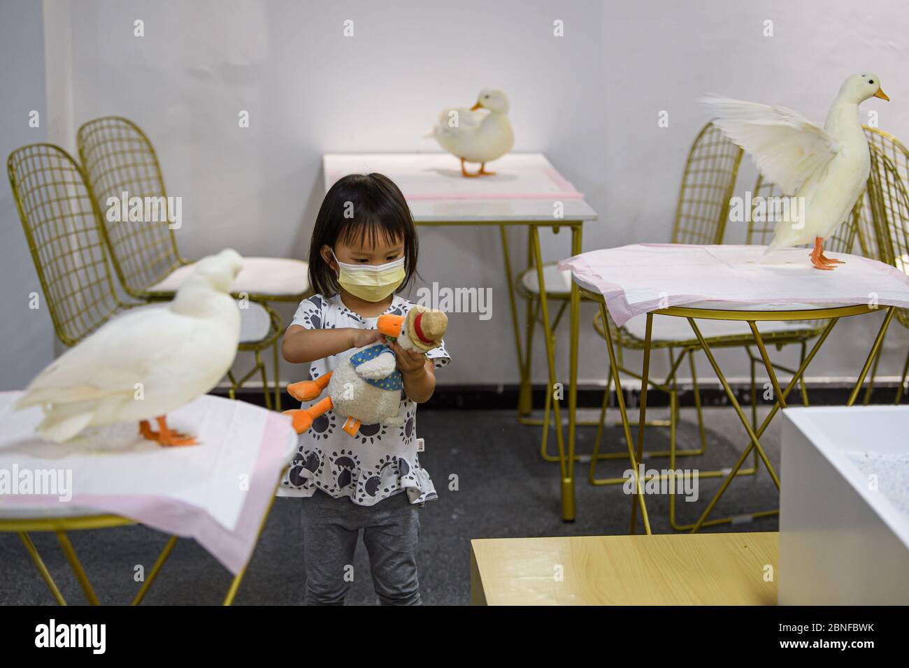 A kid plays with a cole duck in a cole duck experience store in ...