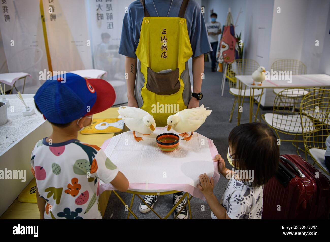 Kids watch cole ducks eating in a cole duck experience store in ...
