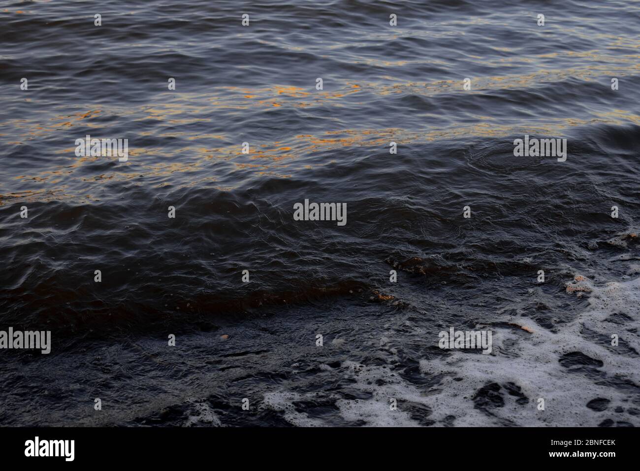 Shore with receding waves and bubbly water Stock Photo - Alamy