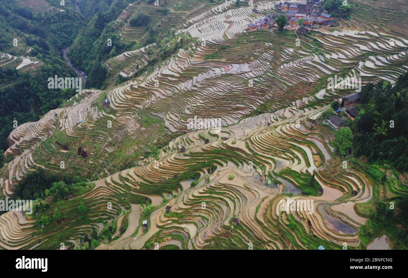 Aerial photos show the amazing terrace fields at Congjiang County ...