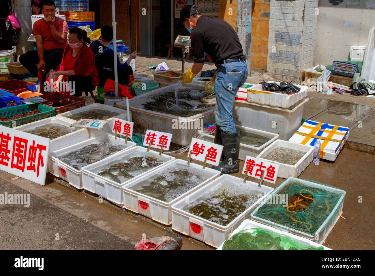 Vendors sell shrimp and fish at a market in Wuhan city, south China's ...
