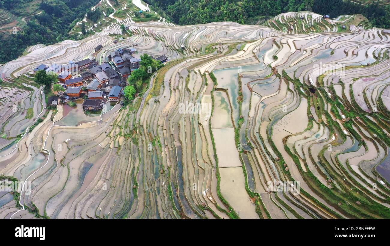 Aerial photos show the amazing terrace fields at Congjiang County ...