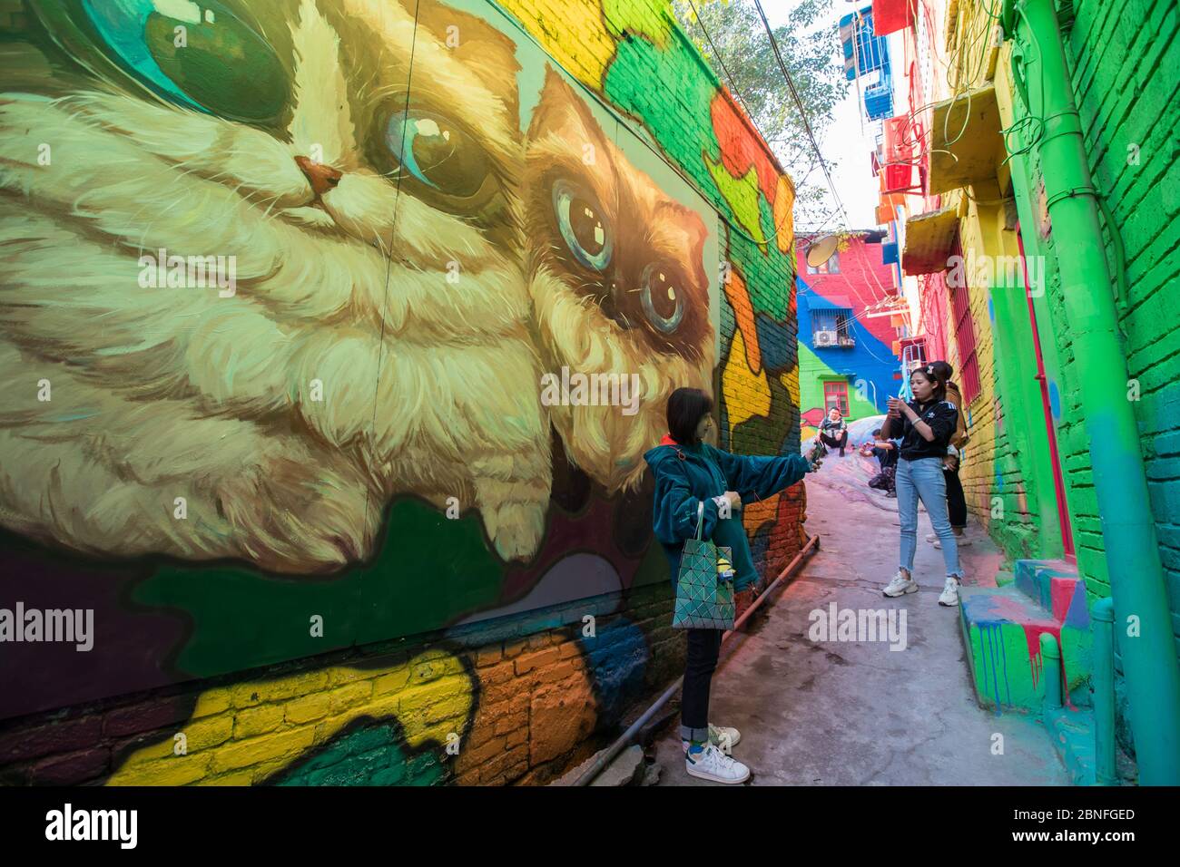 People take pictures against the colorful houses in Qicai Xiang, an old ...