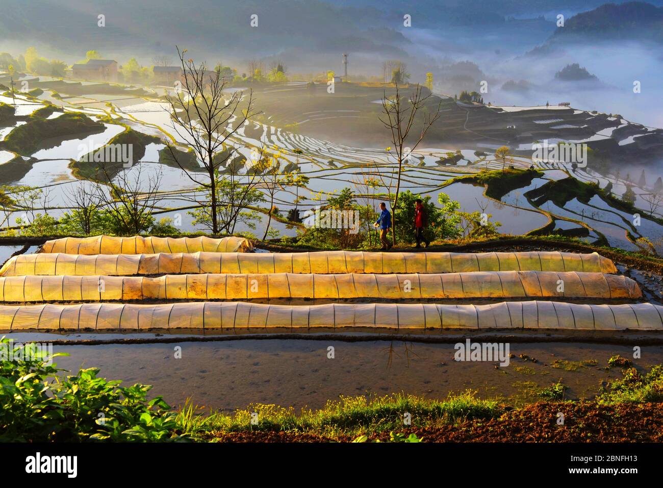 View of the Youyang Terrace in Xiushan Tujia and Miao Autonomous County ...