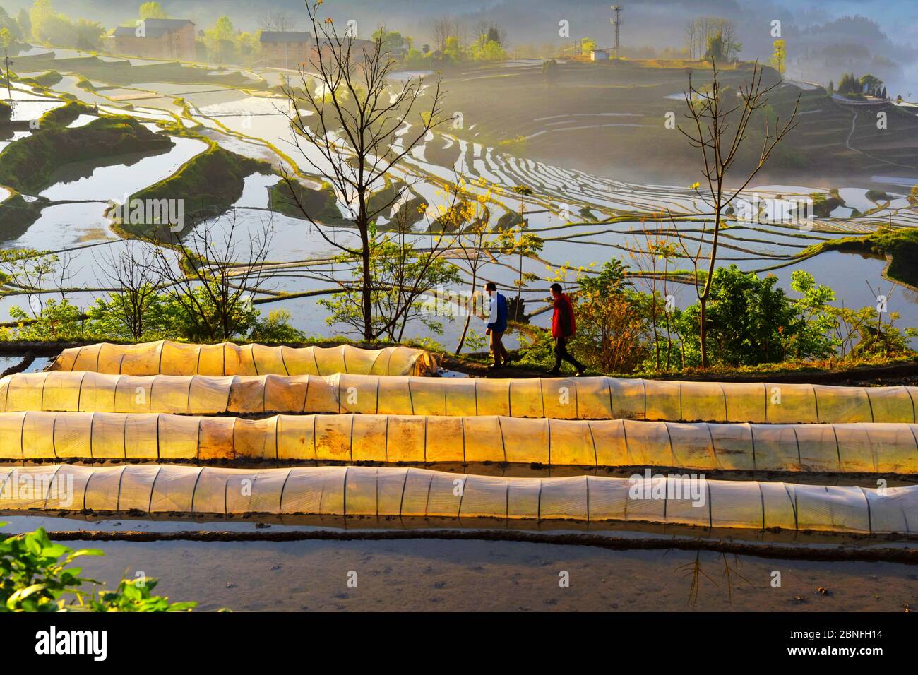 People walk on the Youyang Terrace in Xiushan Tujia and Miao Autonomous ...