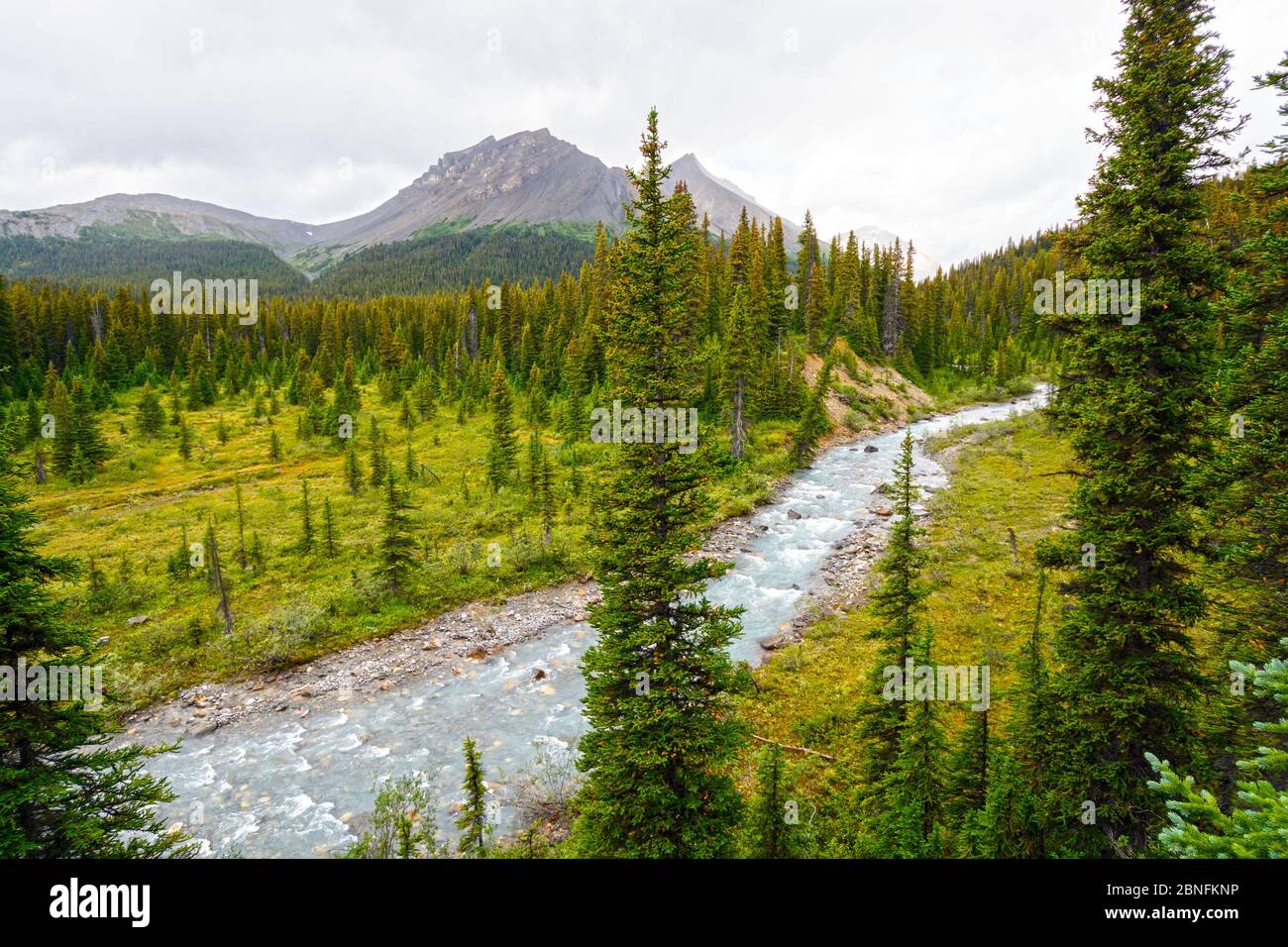 NIgel Creek in Banff National Park Stock Photo - Alamy