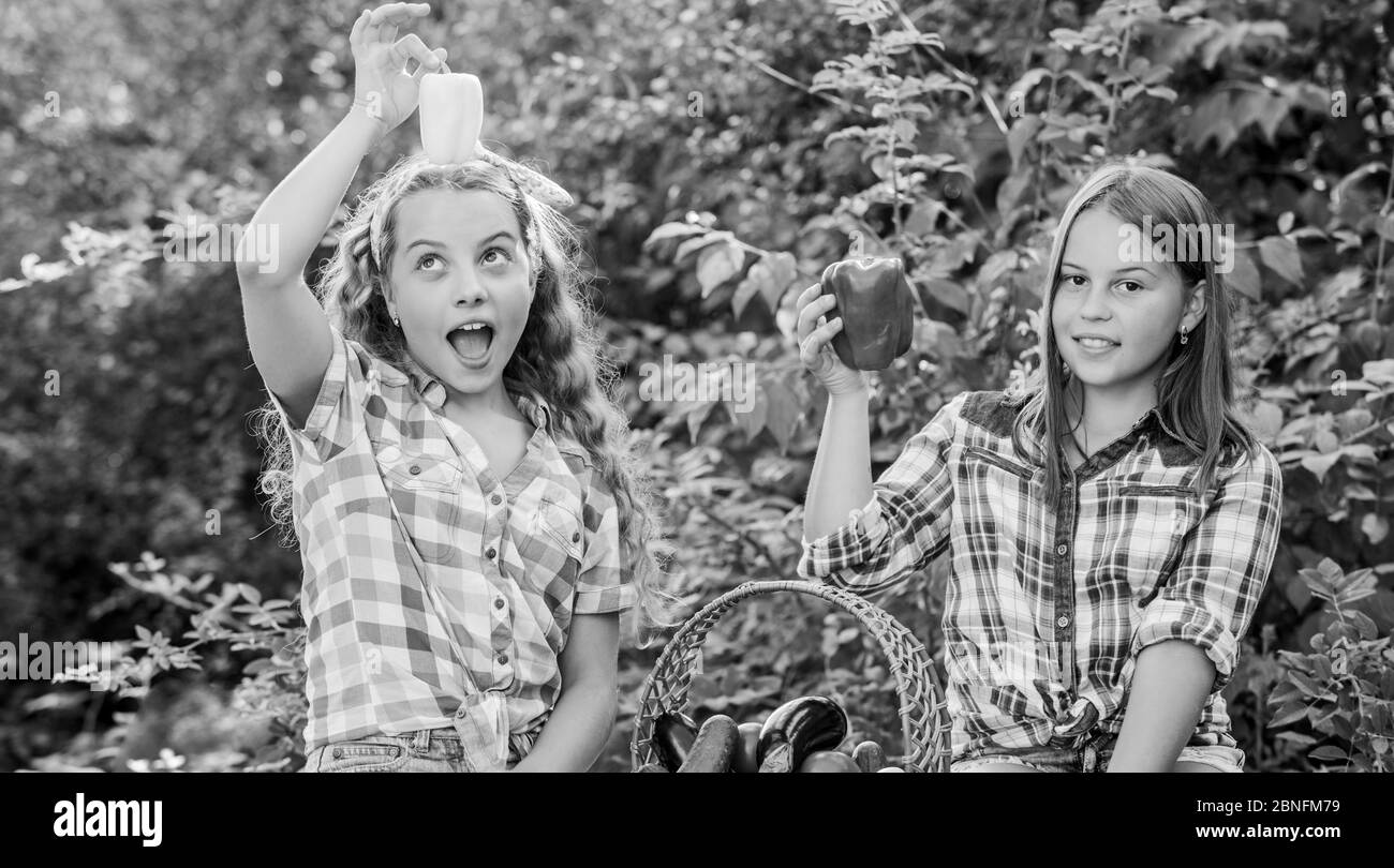Farm market. Selling homegrown food concept. Girls cute children ...