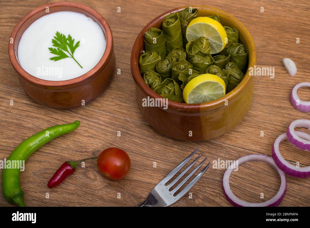 Mahshi or Mahshy - Egyptian traditional cuisine - Grape leaves stuffed ...