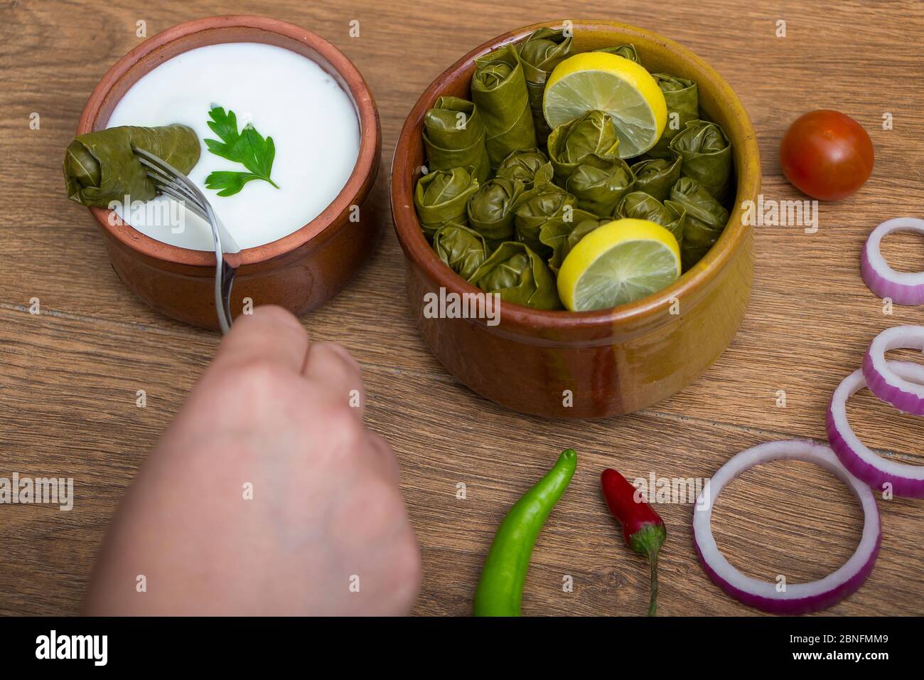 Mahshi or Mahshy - Egyptian traditional cuisine - Grape leaves stuffed ...