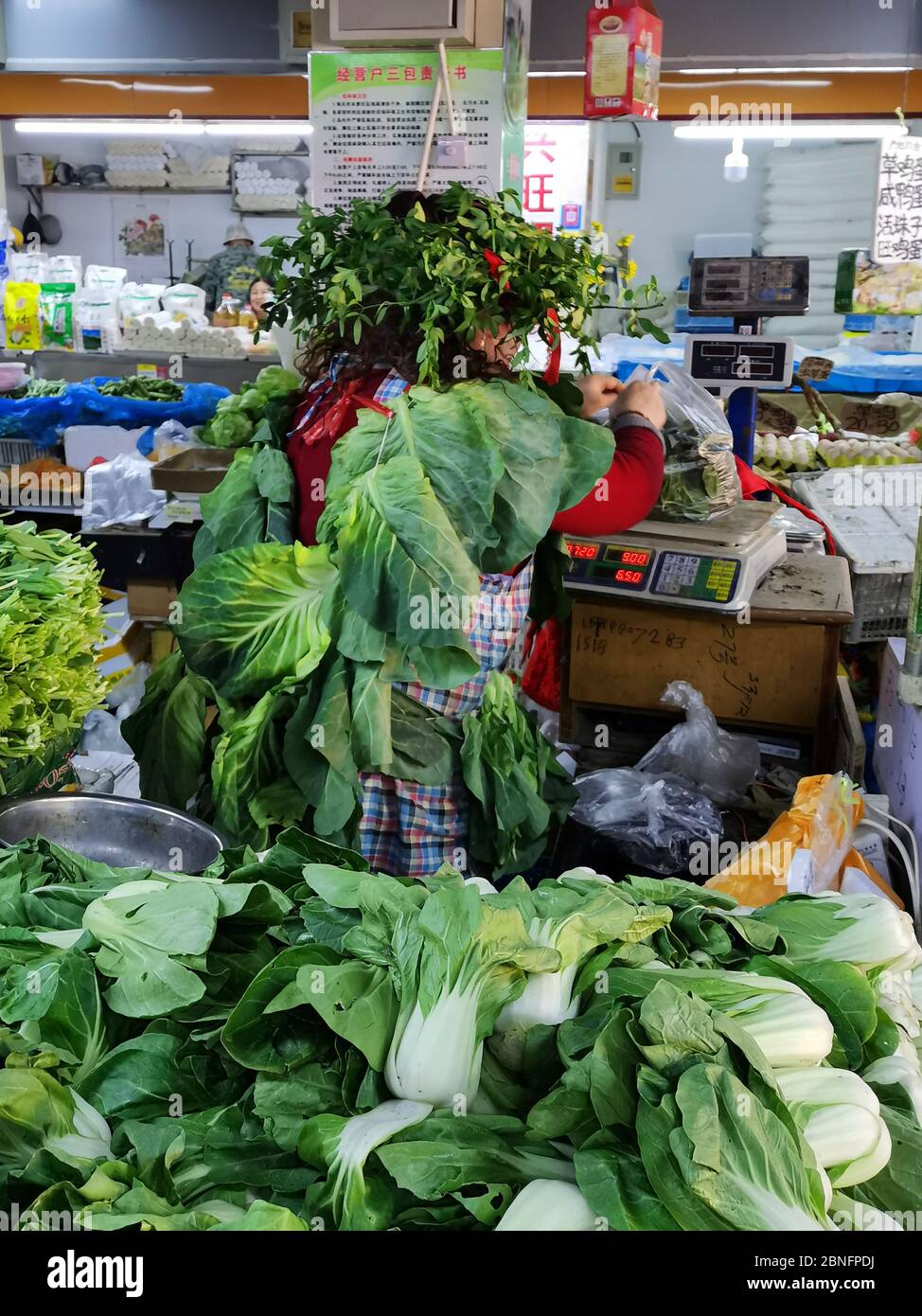 Packing vegetables hi-res stock photography and images - Alamy