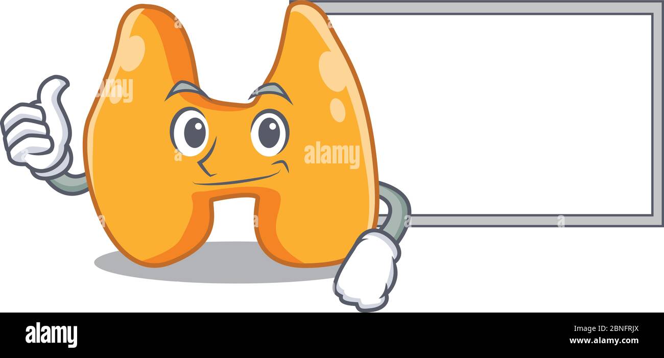 Thyroid cartoon design with Thumbs up finger bring a white board Stock ...