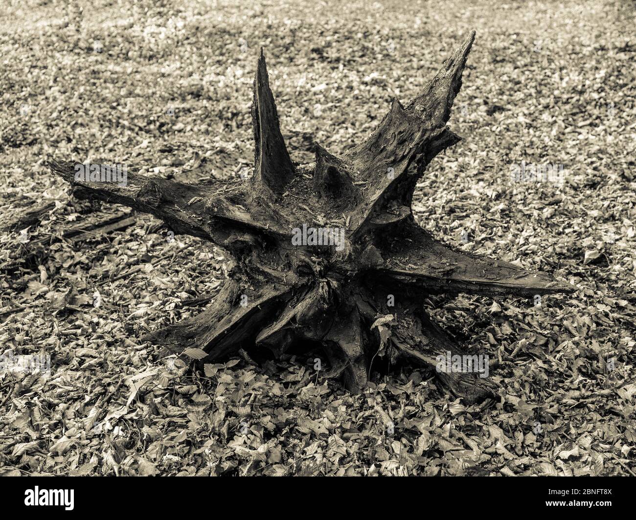 A sharp corners hi-res stock photography and images - Alamy