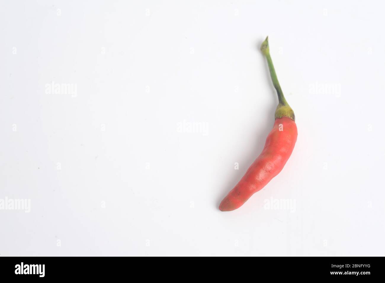 Chilli Padi, Bird's Eye Chilli, Bird Chilli, Thai pepper or Capsicum ...