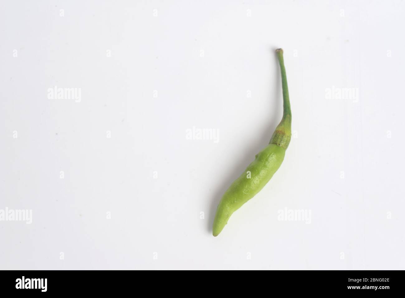 Chilli Padi, Bird's Eye Chilli, Bird Chilli, Thai pepper or Capsicum ...
