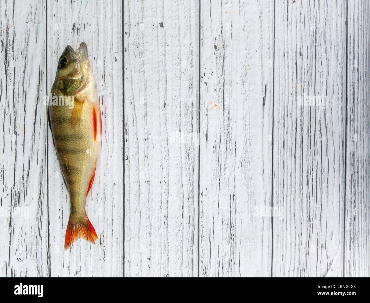 Perch and grill hi-res stock photography and images - Alamy