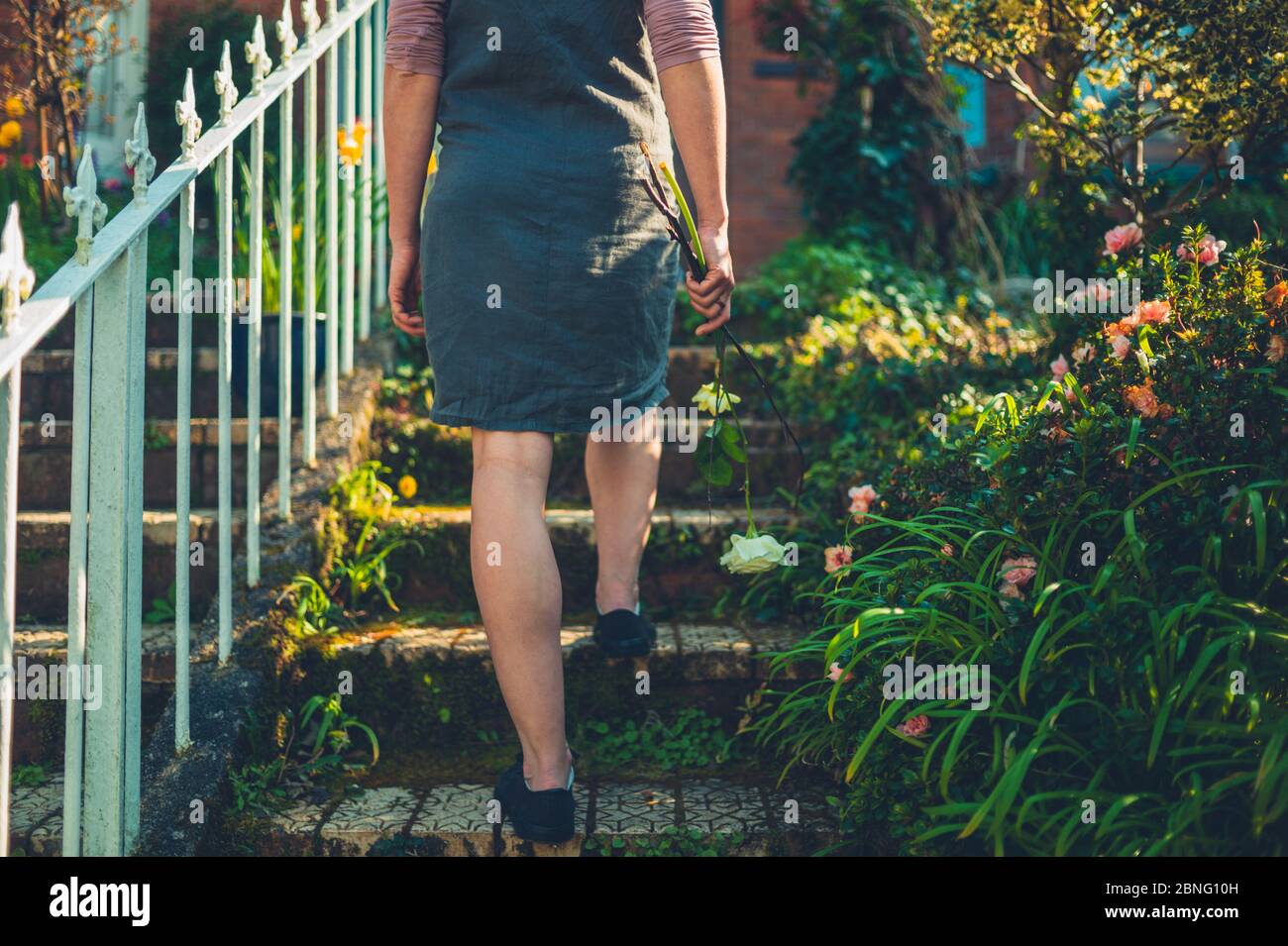 Adult walking up stairs and home hi-res stock photography and images ...