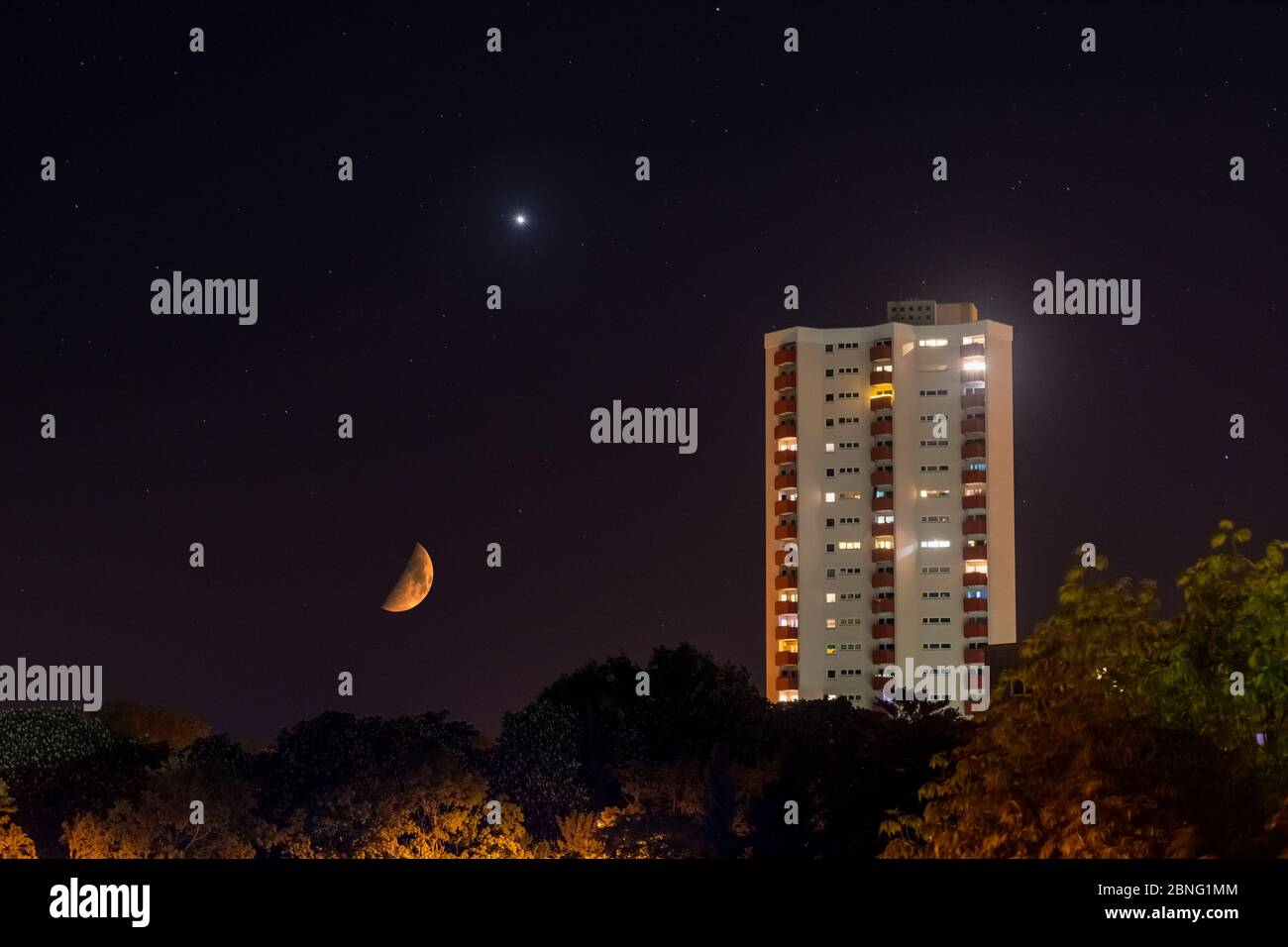 Building at the starry night sky with trees on the foreground Stock ...