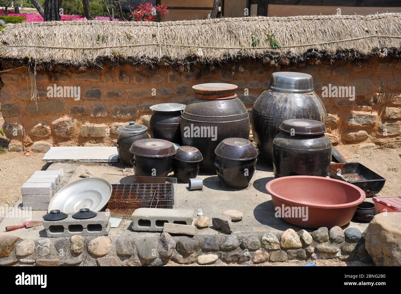 Jang dog dae hi-res stock photography and images - Alamy