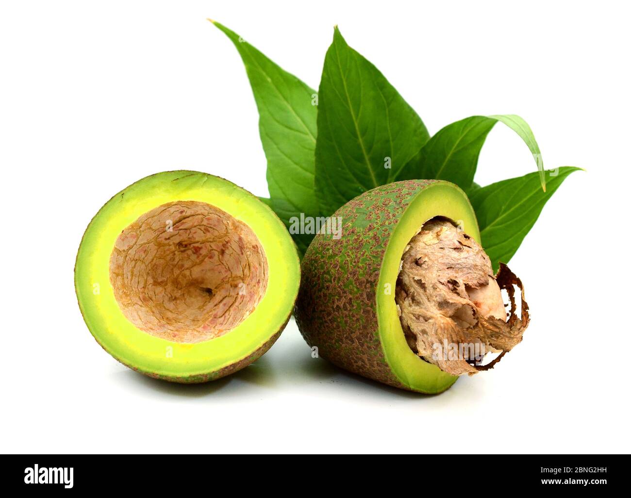 Avocado isolated on white background Stock Photo - Alamy