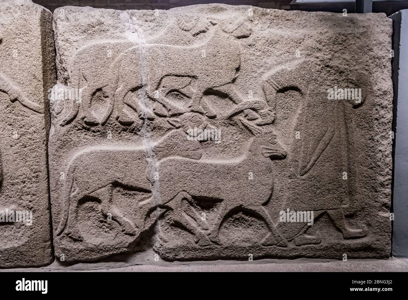 Goats white wall sky architecture hi-res stock photography and images ...