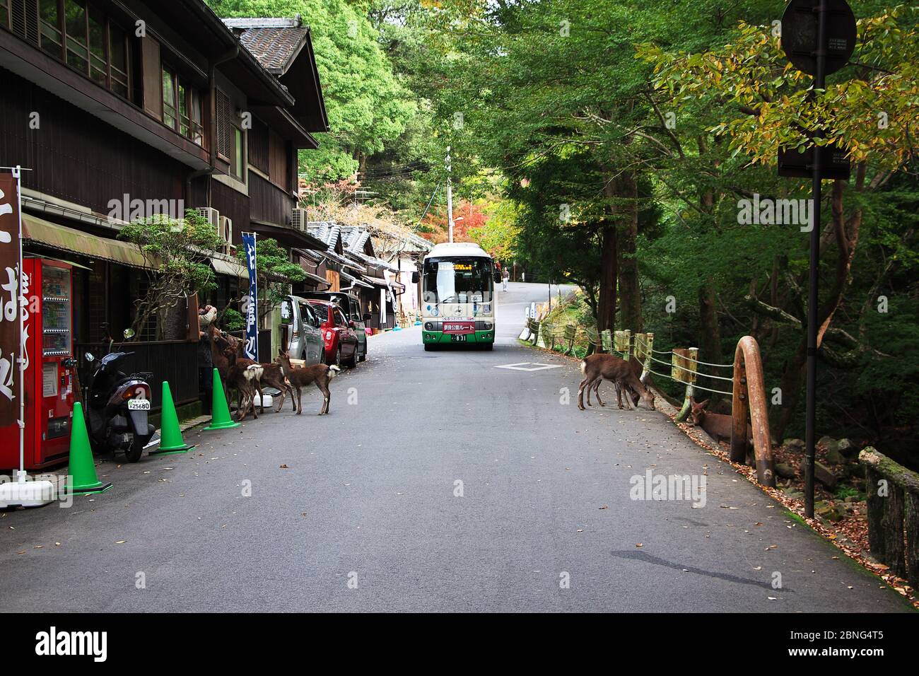 The street in Nara, Japan Stock Photo - Alamy