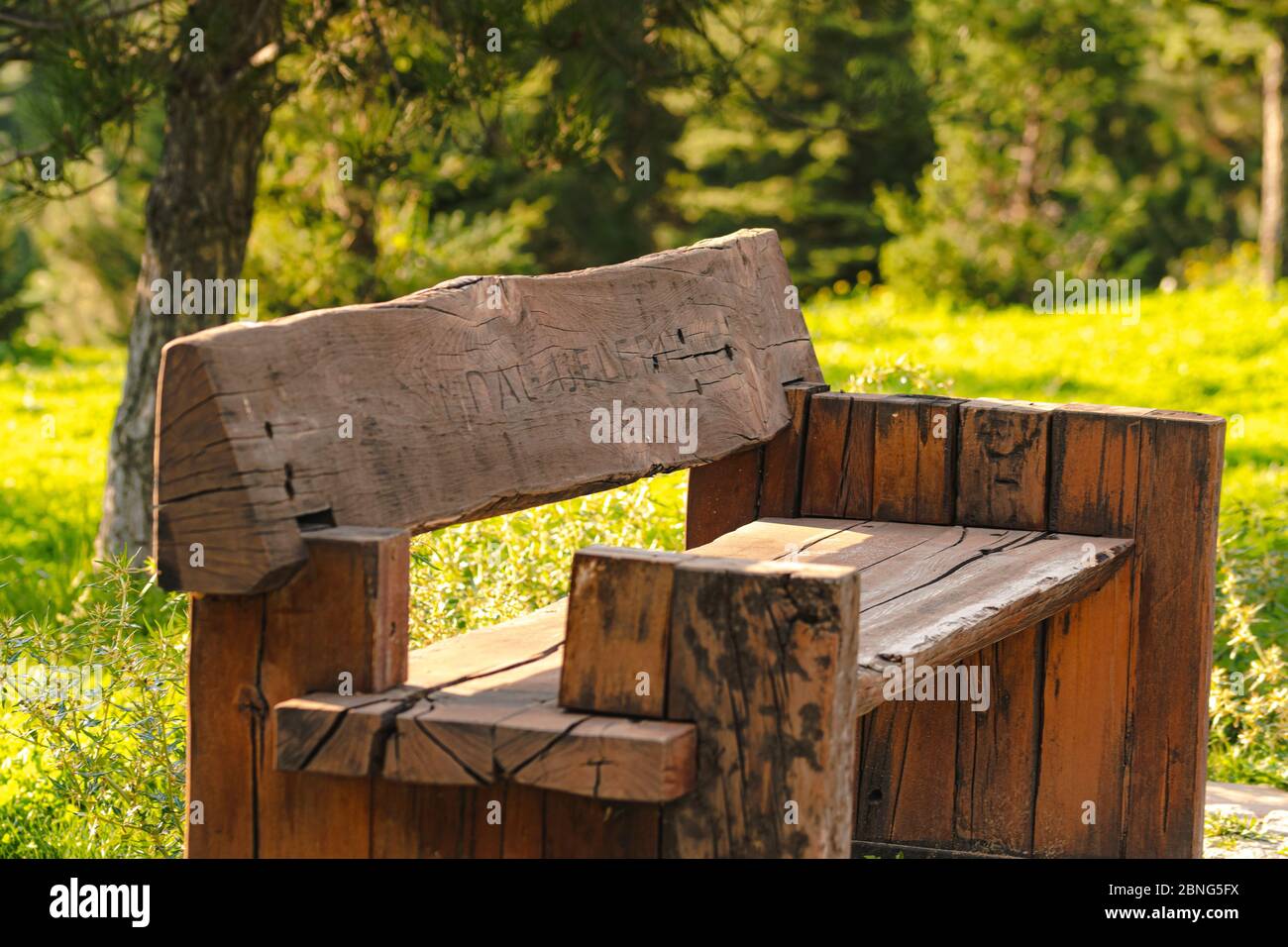 Closeup of a wooden bench at a park surrounded with beautiful greenery ...