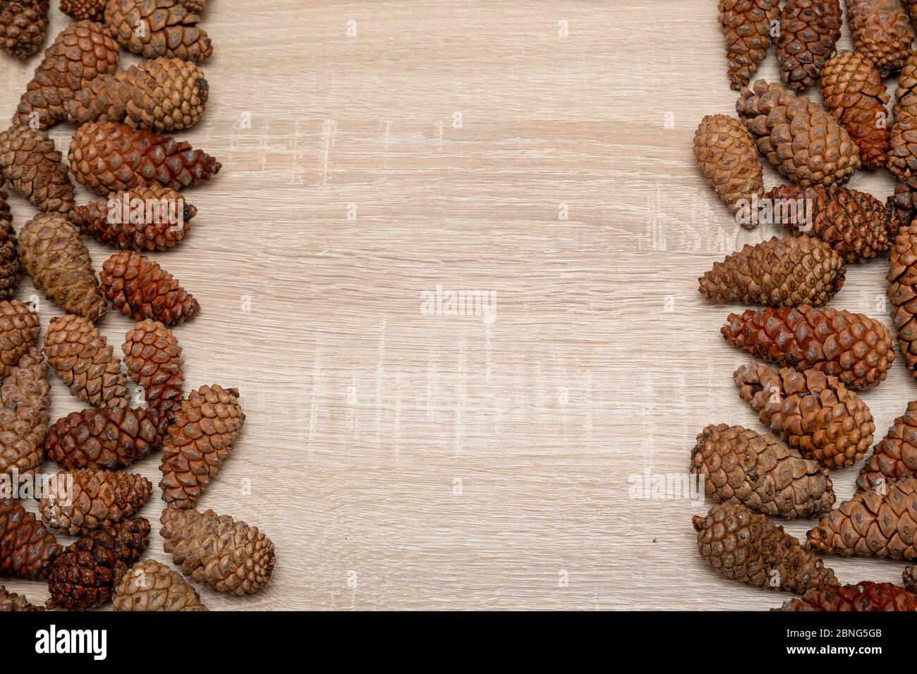 pine cones background Stock Photo - Alamy