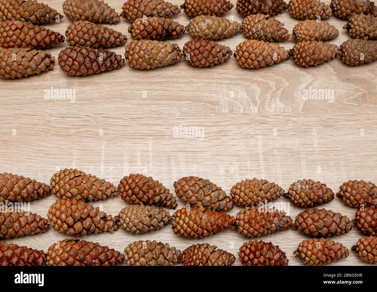 pine cones background Stock Photo - Alamy