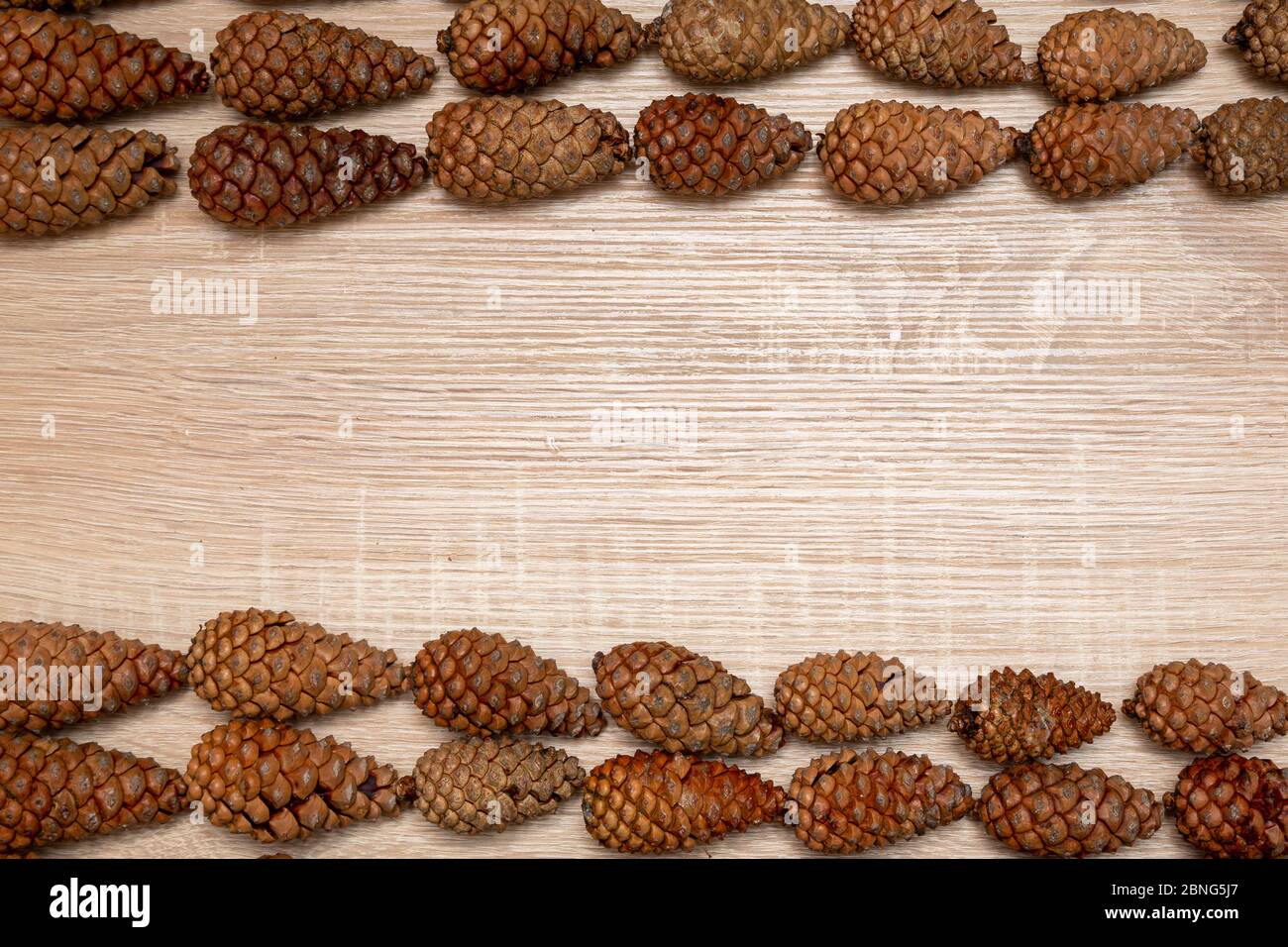 pine cones background Stock Photo - Alamy