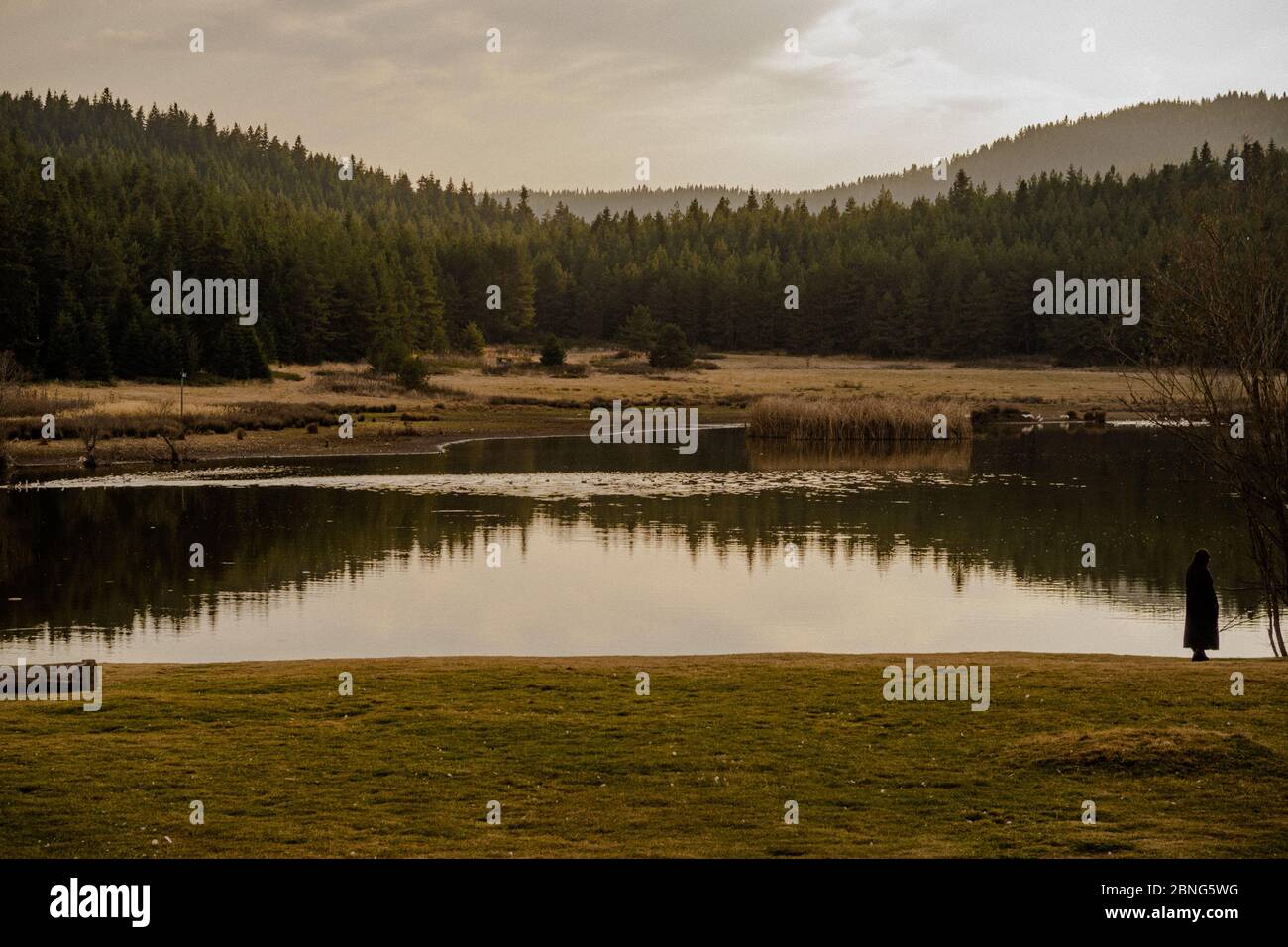 Tukey holiday hi-res stock photography and images - Alamy