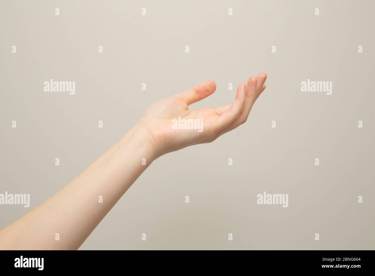 hand on white background Stock Photo - Alamy