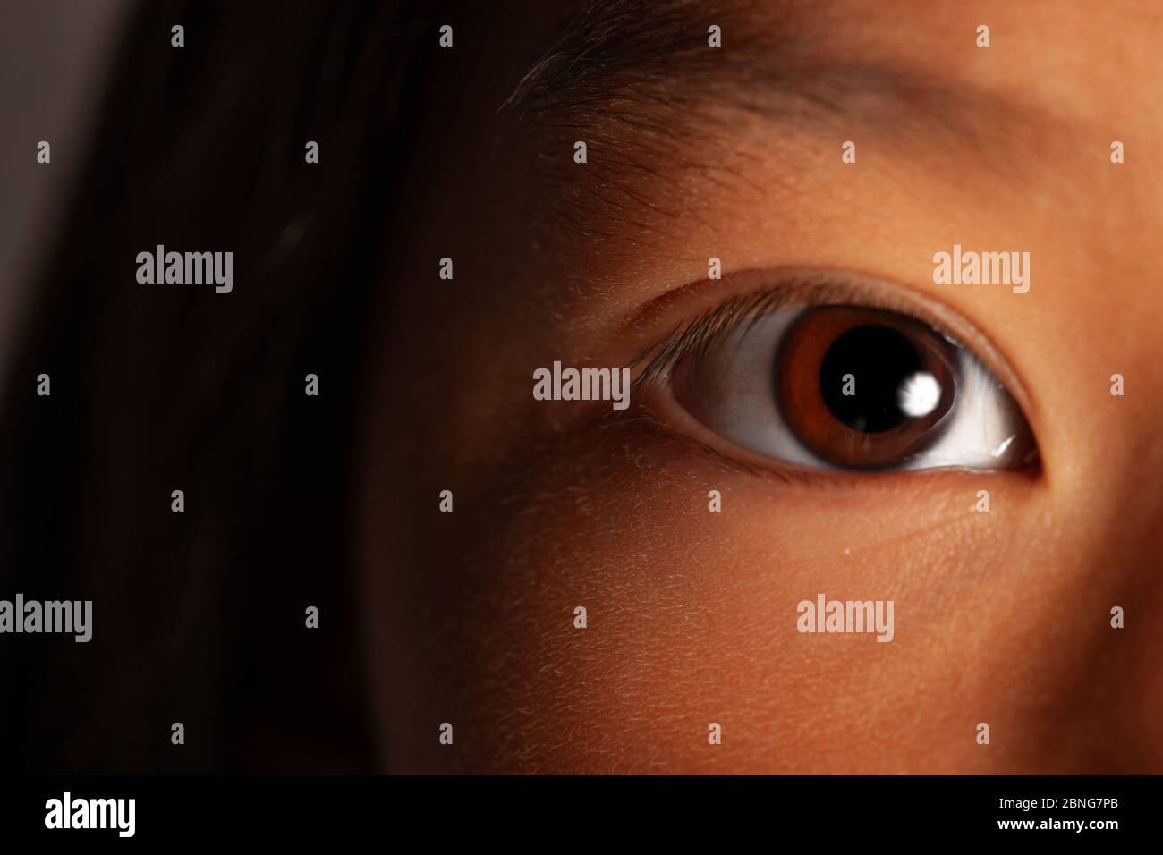 A single human eye hi-res stock photography and images - Alamy