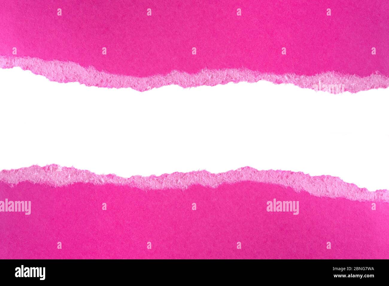 Ripped pieces of purple paper isolated on white background. Paper piece ...