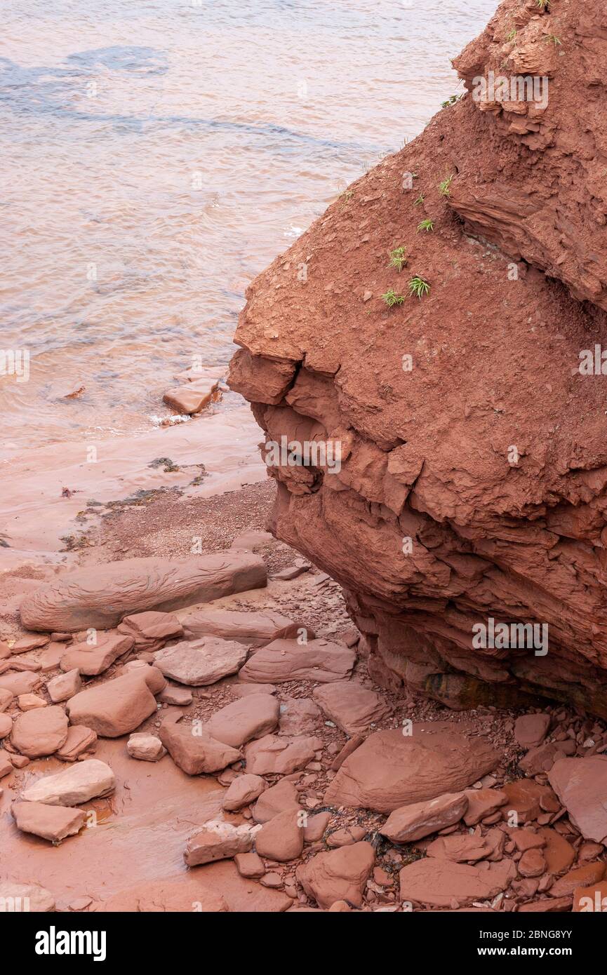 Abrasion face hi-res stock photography and images - Alamy