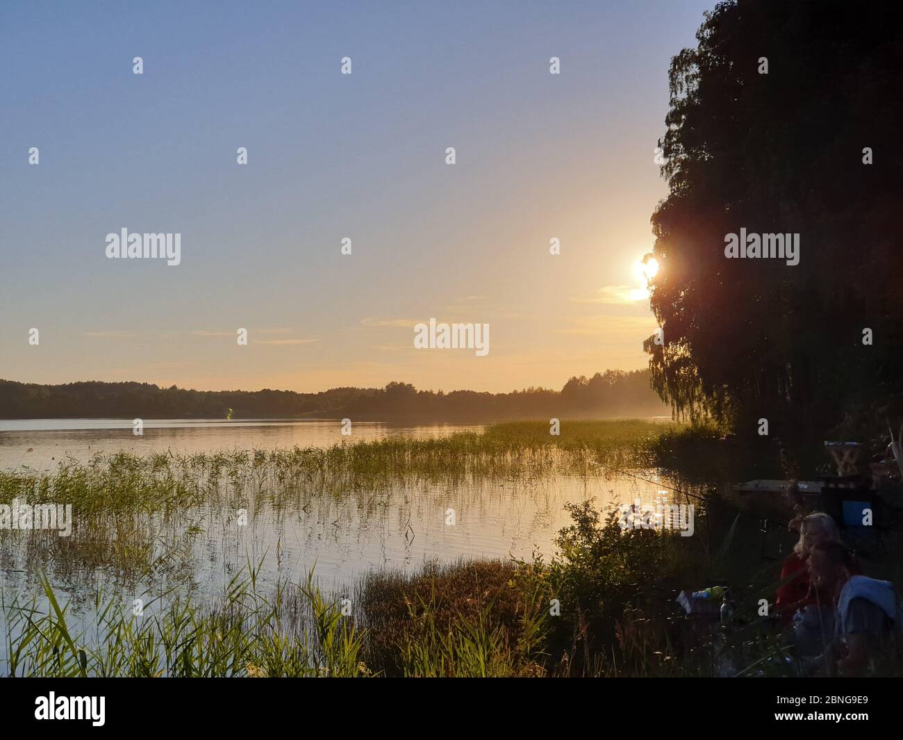Sunset over night forest hi-res stock photography and images - Alamy