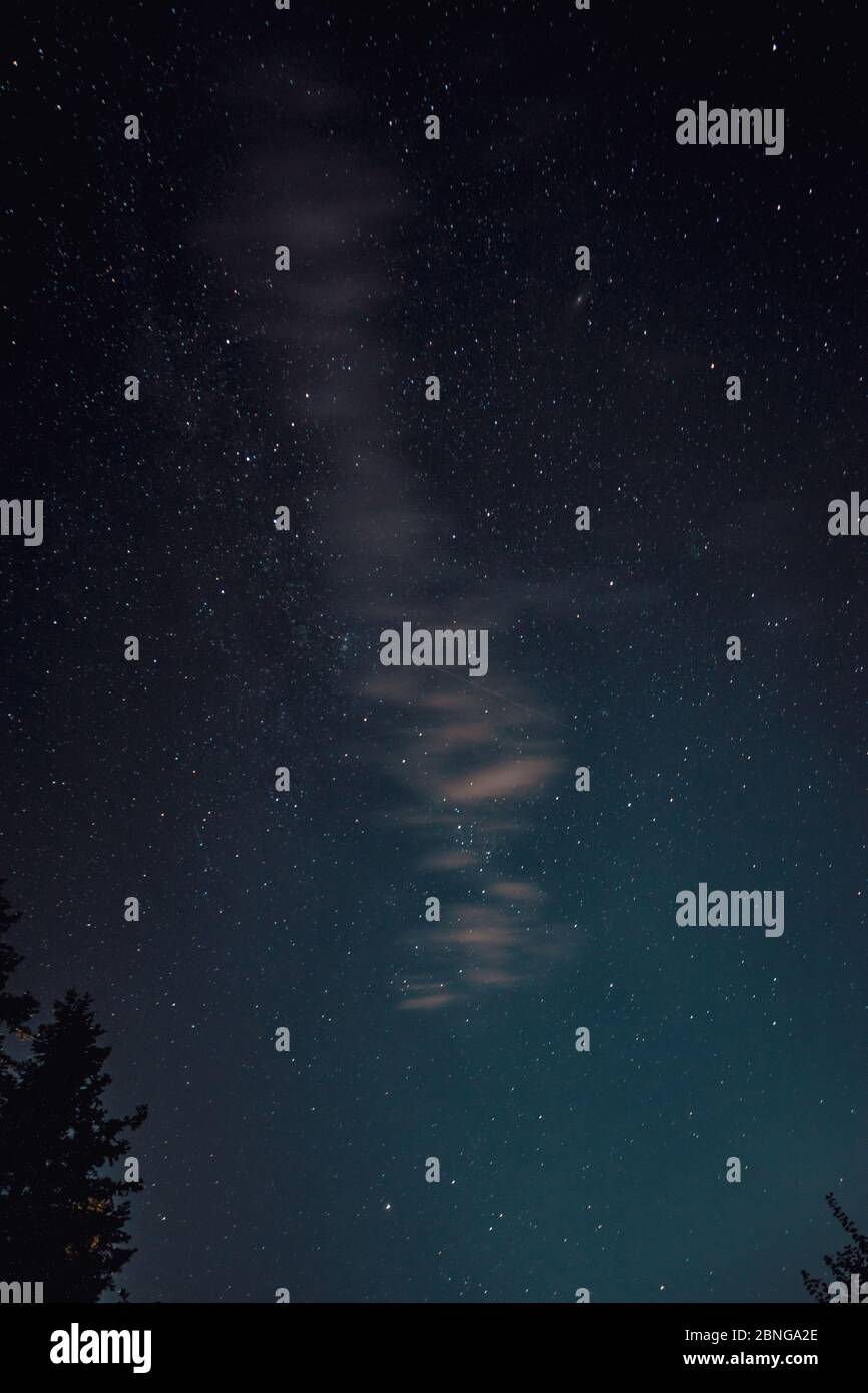 Vertical low angle shot of the breathtaking night sky full of bright ...