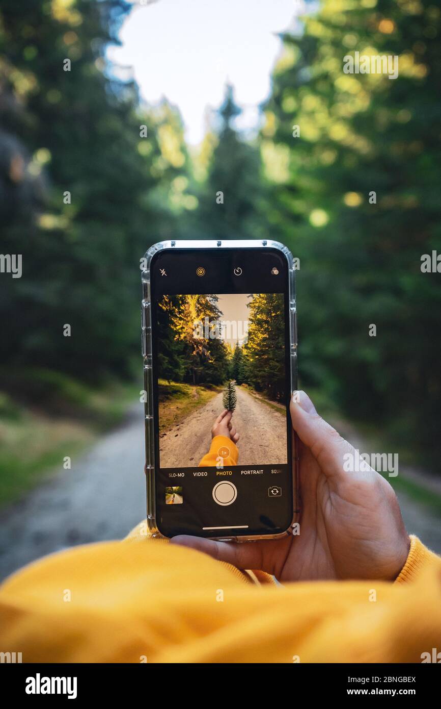 Vertical shot of a person taking a photo of a leaf with a cellphone ...