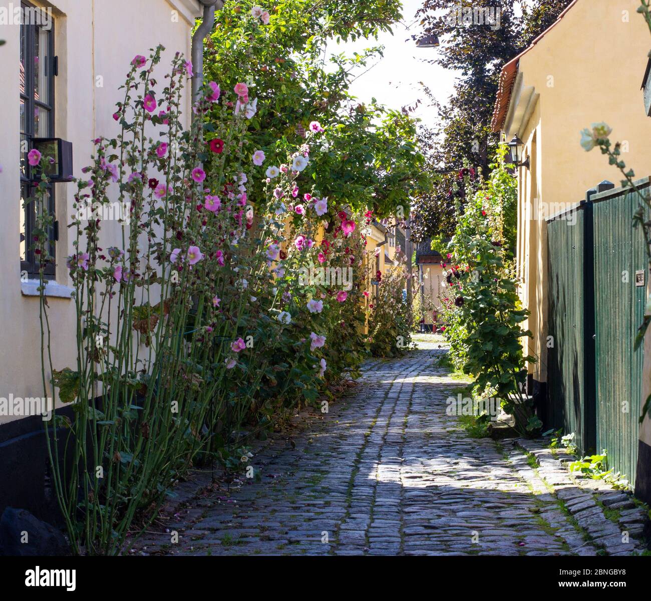 Life at dragor town hi-res stock photography and images - Alamy