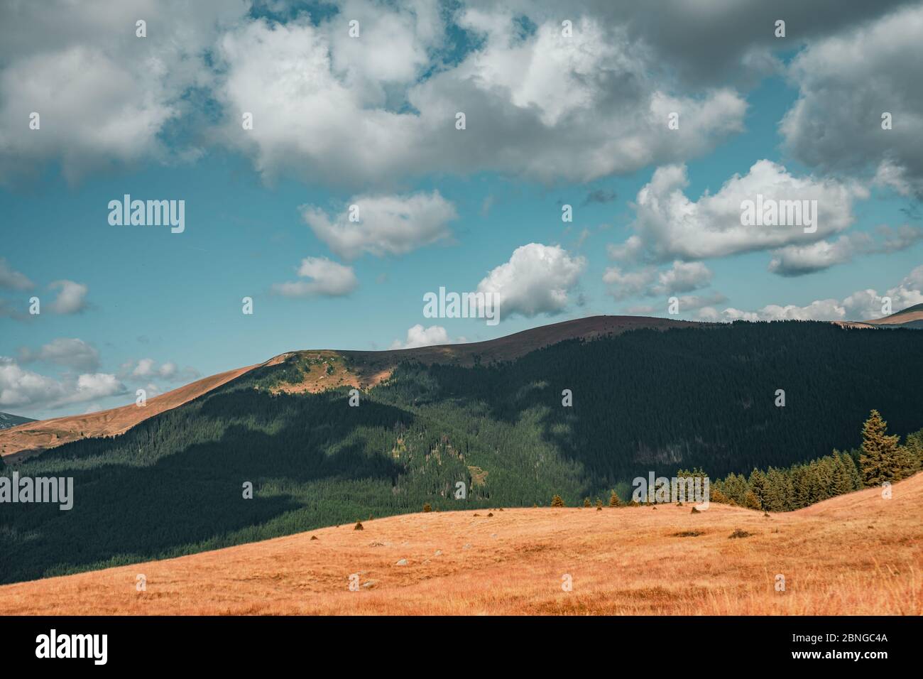 Beautiful view of a grass-covered field and mountains under the cloudy ...