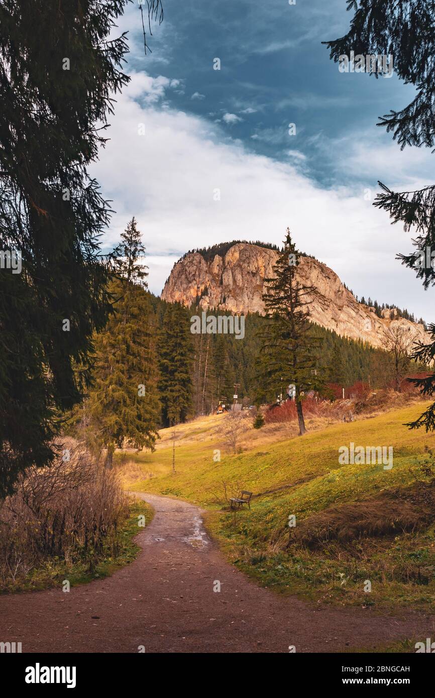 Vertical shot of a narrow pathway leading to a forested mountain Stock ...