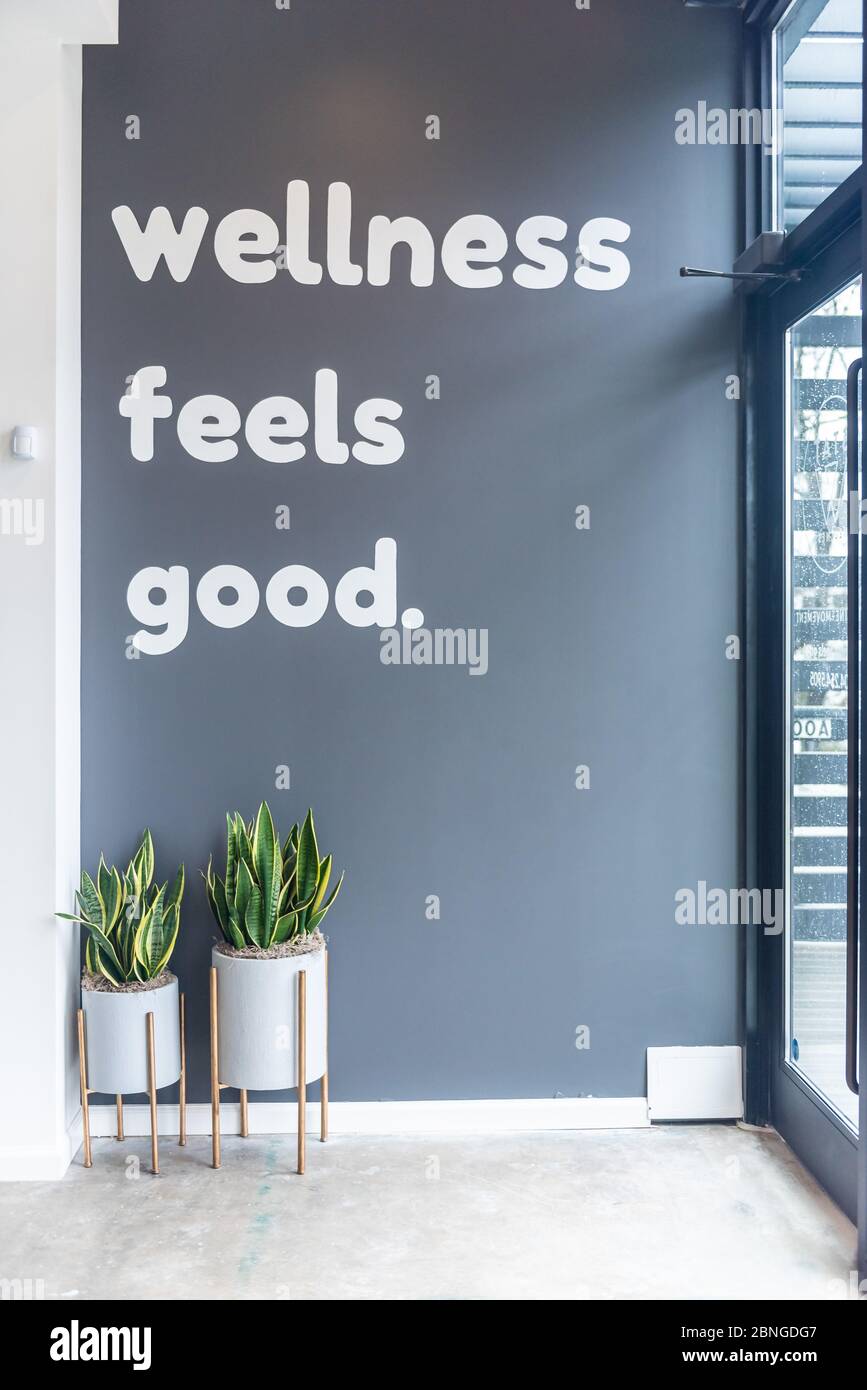 Vertical shot of "wellness feels good" written on the grey wall with ...
