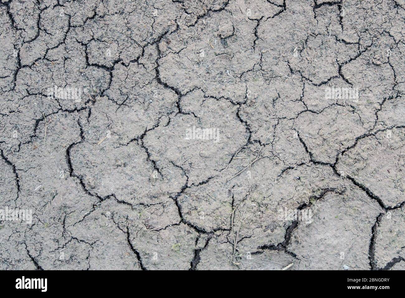 High angle closeup shot of the cracked grey stone ground Stock Photo ...