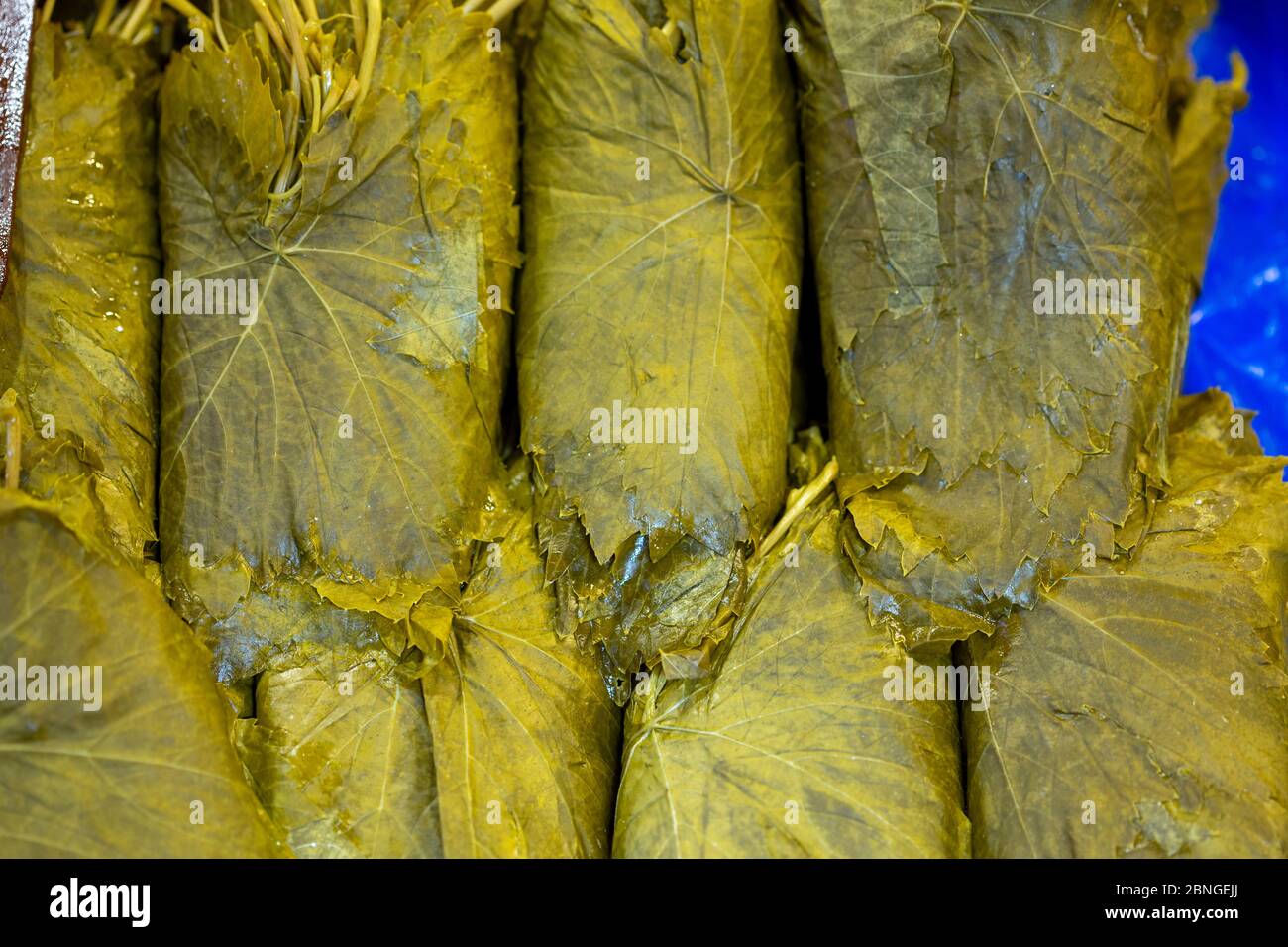 Pickled grape leaves hi-res stock photography and images - Alamy