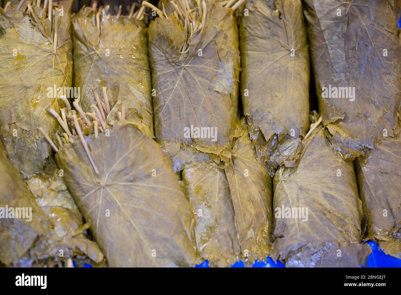 Pickled grape leaves close-up. Grape leaves for preparation of ...