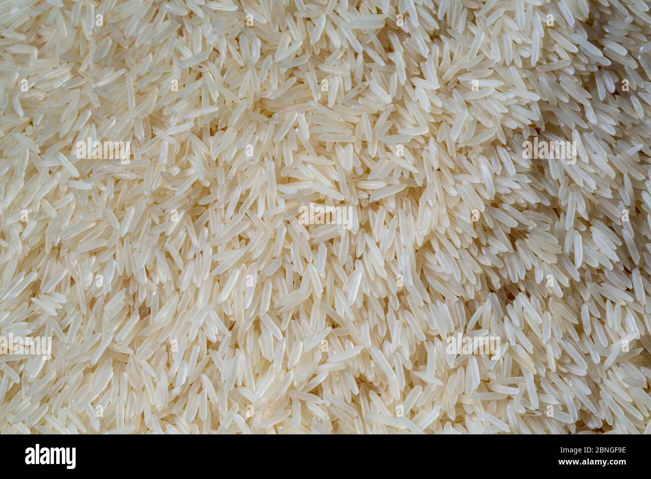 food background from a texture of rice close-up Stock Photo - Alamy